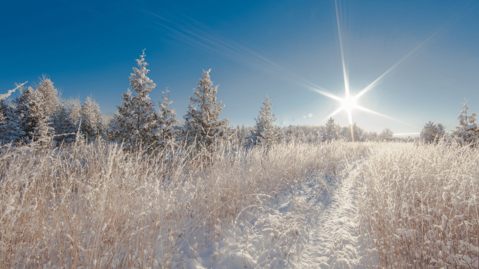 Keeping Static Caravan Dry & Frost-Proof: An Ultimate Guide