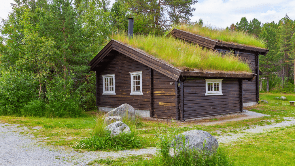 What is the life expectancy of a lodge? Learn all about it here!